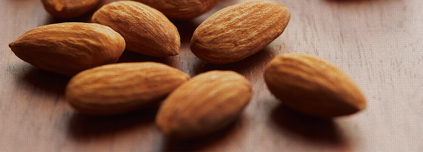 Exceptionally Nuts | Bavarian Roasted Almonds & Sunflower Seeds | Bismarck, ND